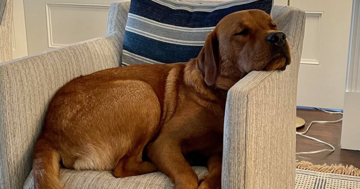 The Strudwick File: The Most Shocking Strud Moment Yet – Megyn Kelly