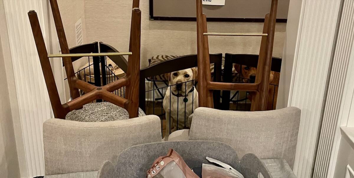 The Strudwick File: Halloween Haunts – Megyn Kelly