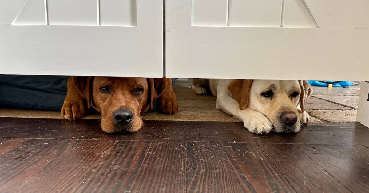 The Strudwick File: Strud – and ‘His Accomplice’ – Strike Again – Megyn ...