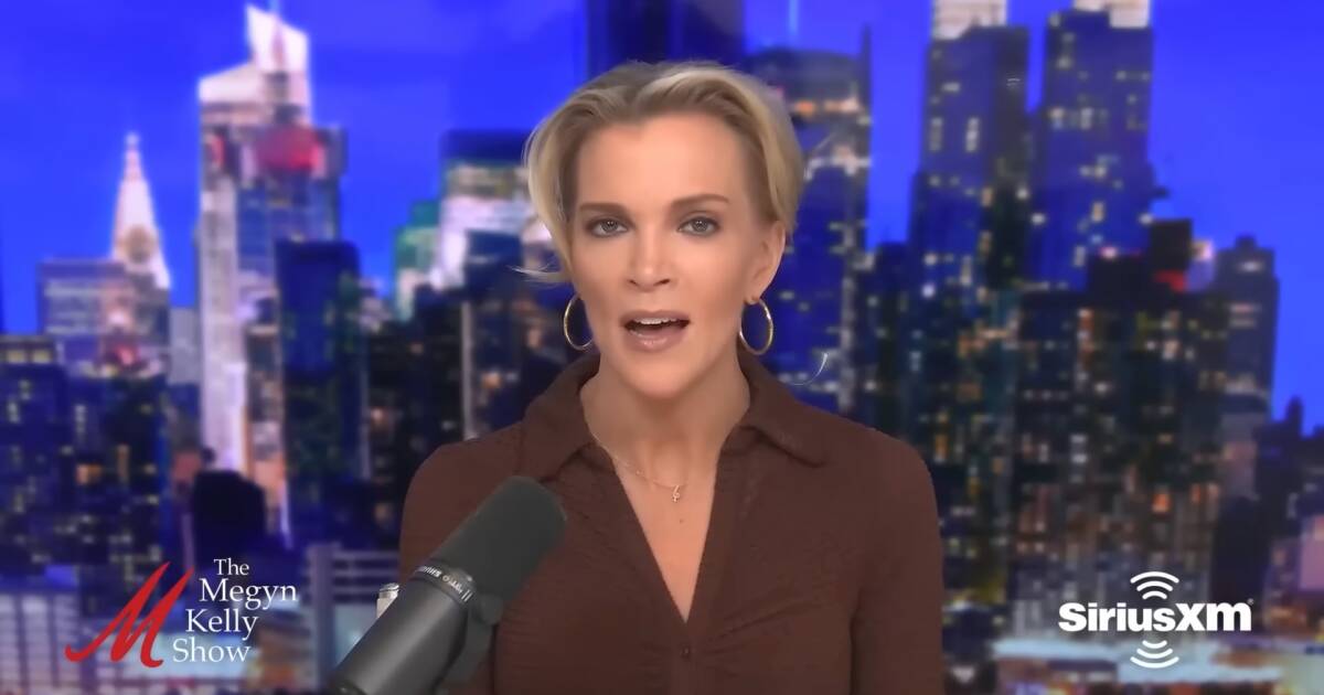 Is Twitter the New Fox News? Megyn Explains Elon Musk’s Plans to Woo ...